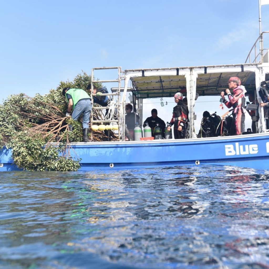 今年も行ってきました、産卵床の設置！！ | ARK Diving Shop 串本店