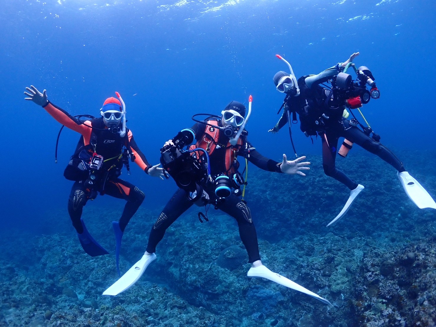 ダイビング常勤スタッフ募集中！！ | ARK Diving Shop 串本店