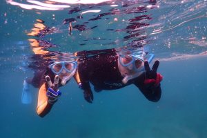 Blog | ARK Diving Shop 串本店