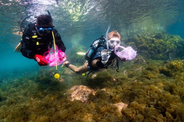 来月2/9周年イベントあります😆 | ARK Diving Shop 串本店