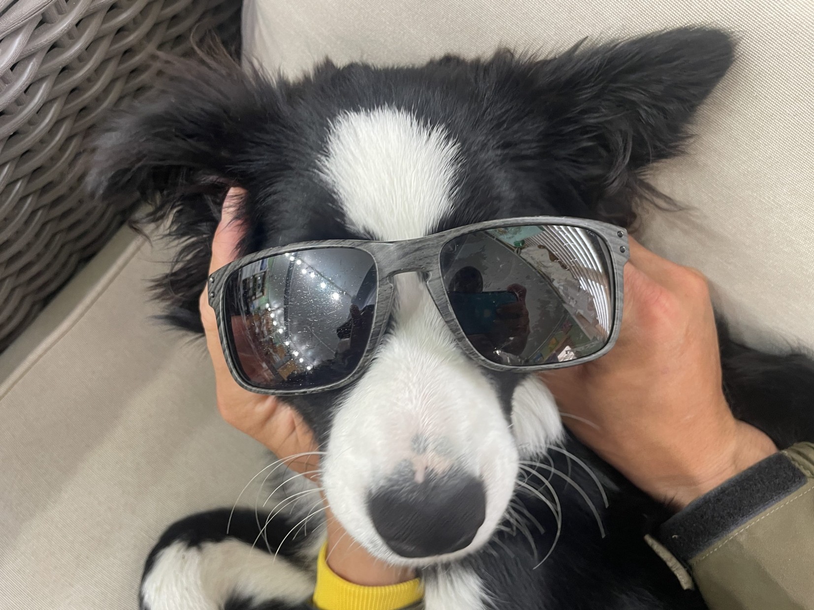 エアちゃん日誌 | ARK Diving Shop 串本店