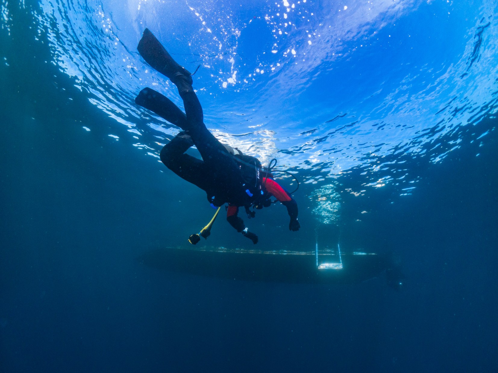 串本の回復力すごい | ARK Diving Shop 串本店