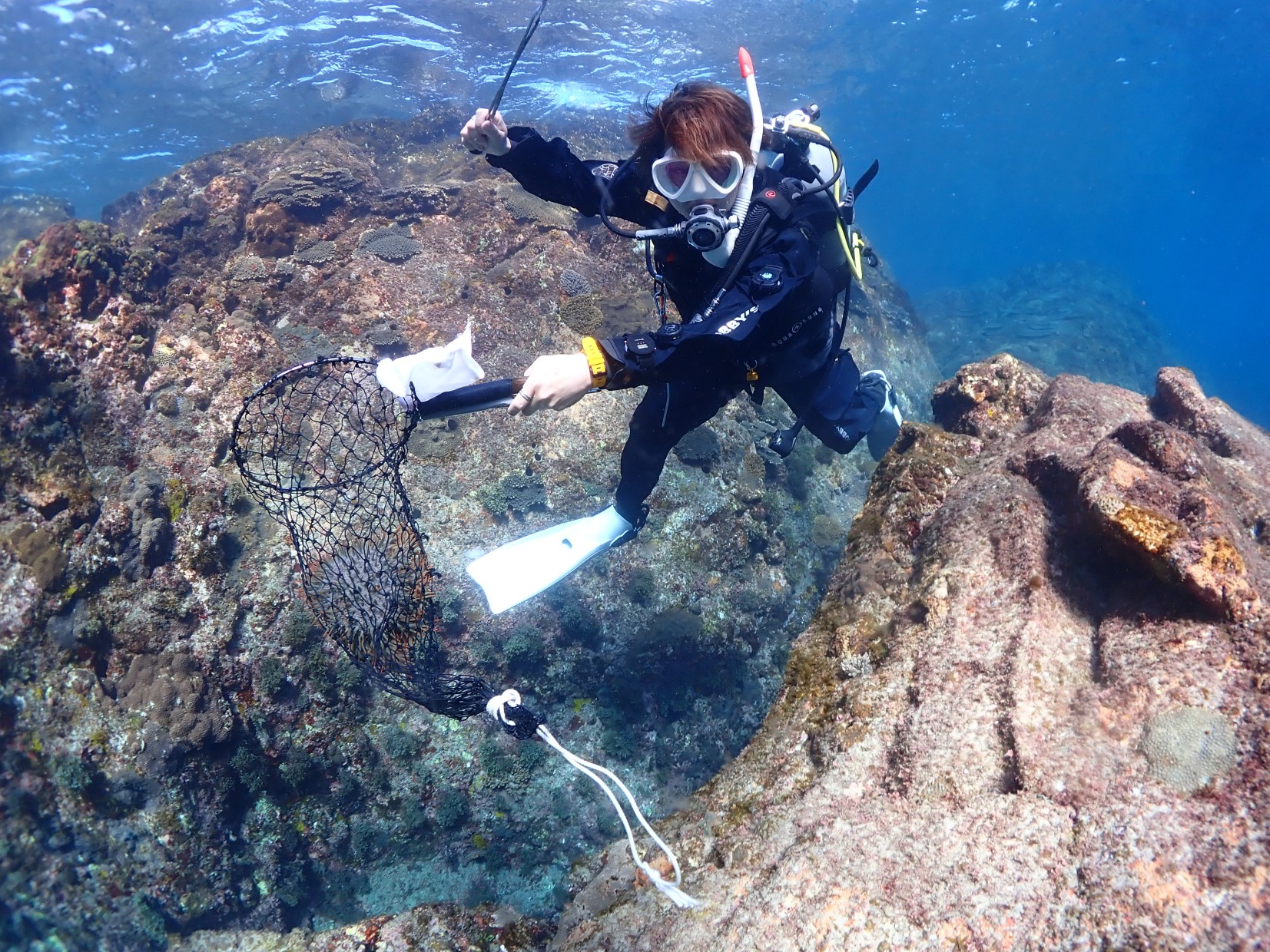 今日で一月も終わり😮 | ARK Diving Shop 串本店