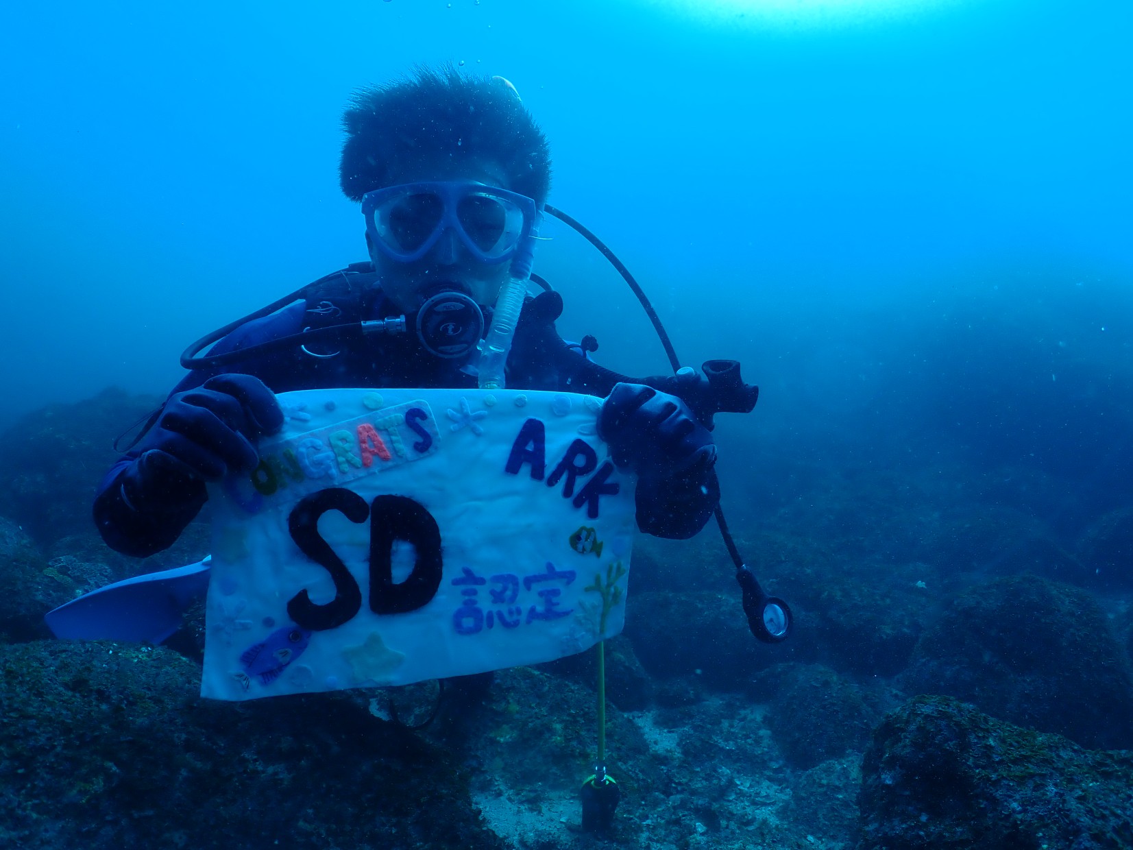 今週はSD講習weekly〜 | ARK Diving Shop 串本店