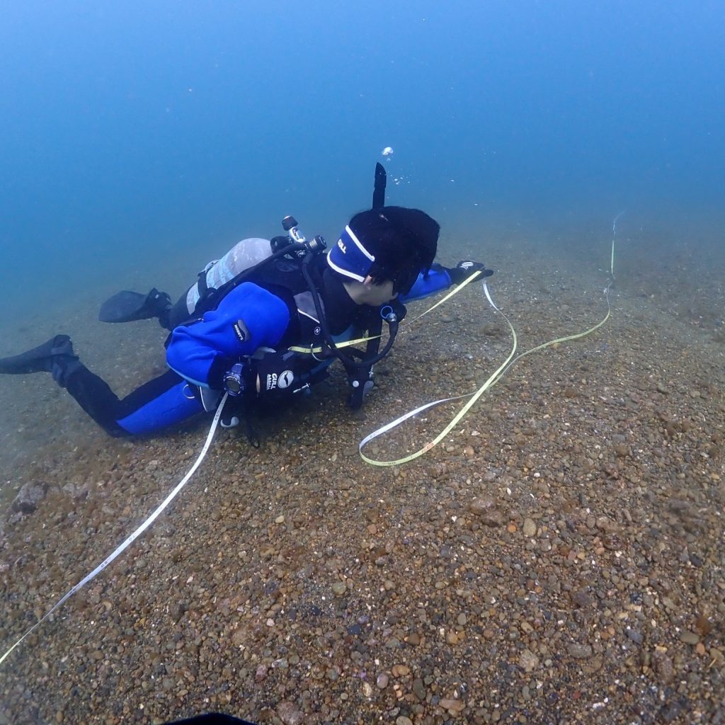 水中で頭を使う⁉︎🤔 | ARK Diving Shop 串本店