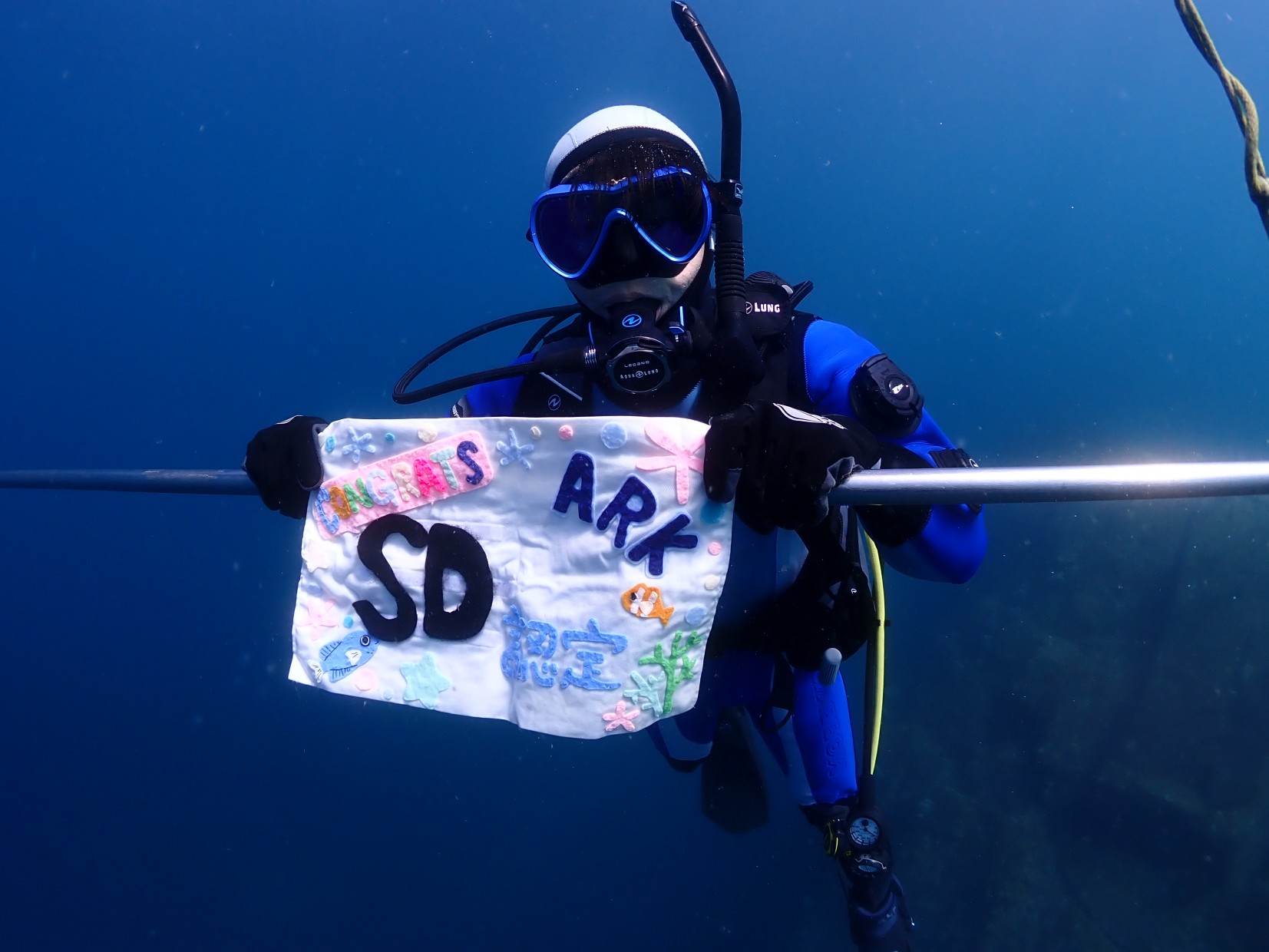 世界が広がるディープダイビングの世界！ | ARK Diving Shop 串本店