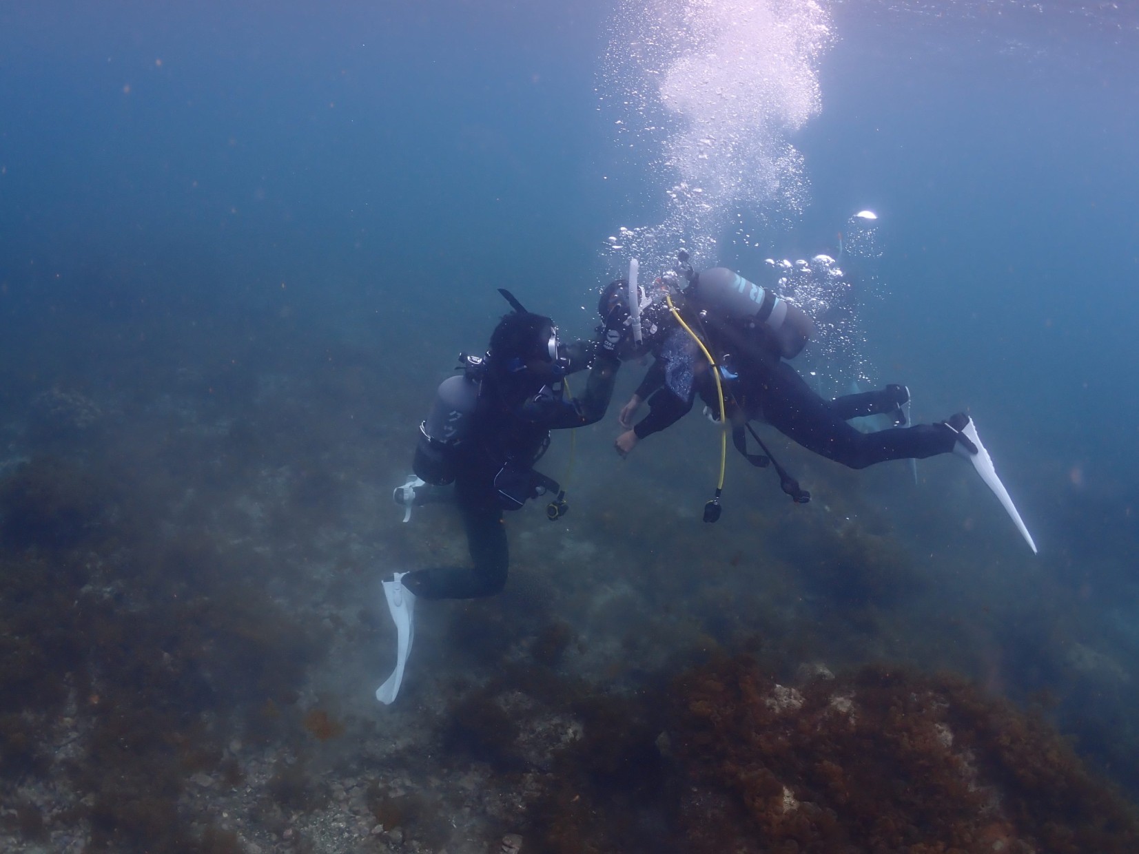 レスキュー認定おめでとう | ARK Diving Shop 串本店