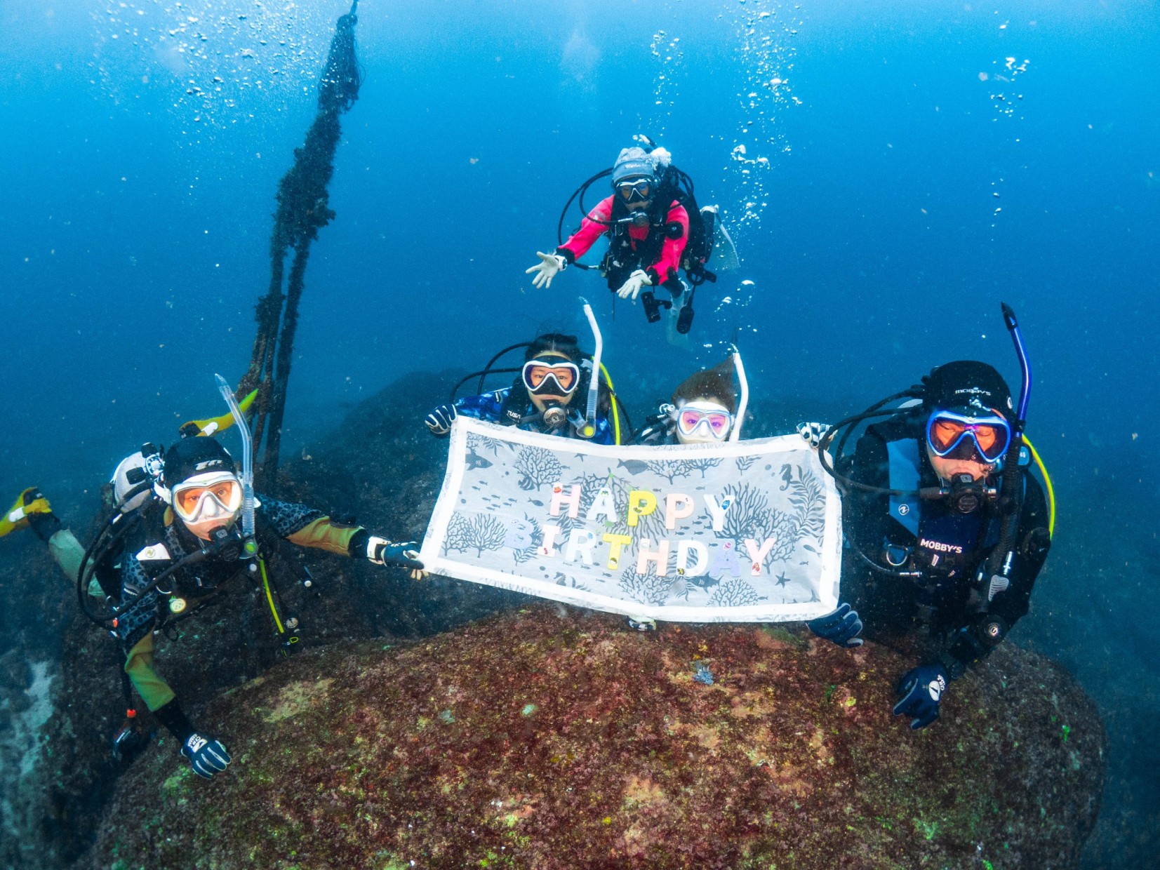今日は串本で仲良しダイブ | ARK Diving Shop 串本店