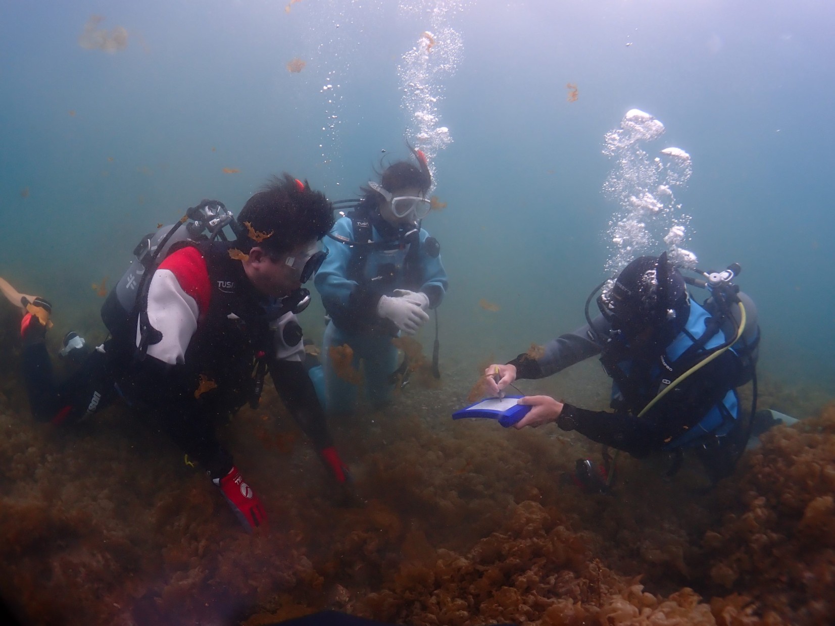 初めての体験ダイビングに挑戦の巻 | ARK Diving Shop 串本店