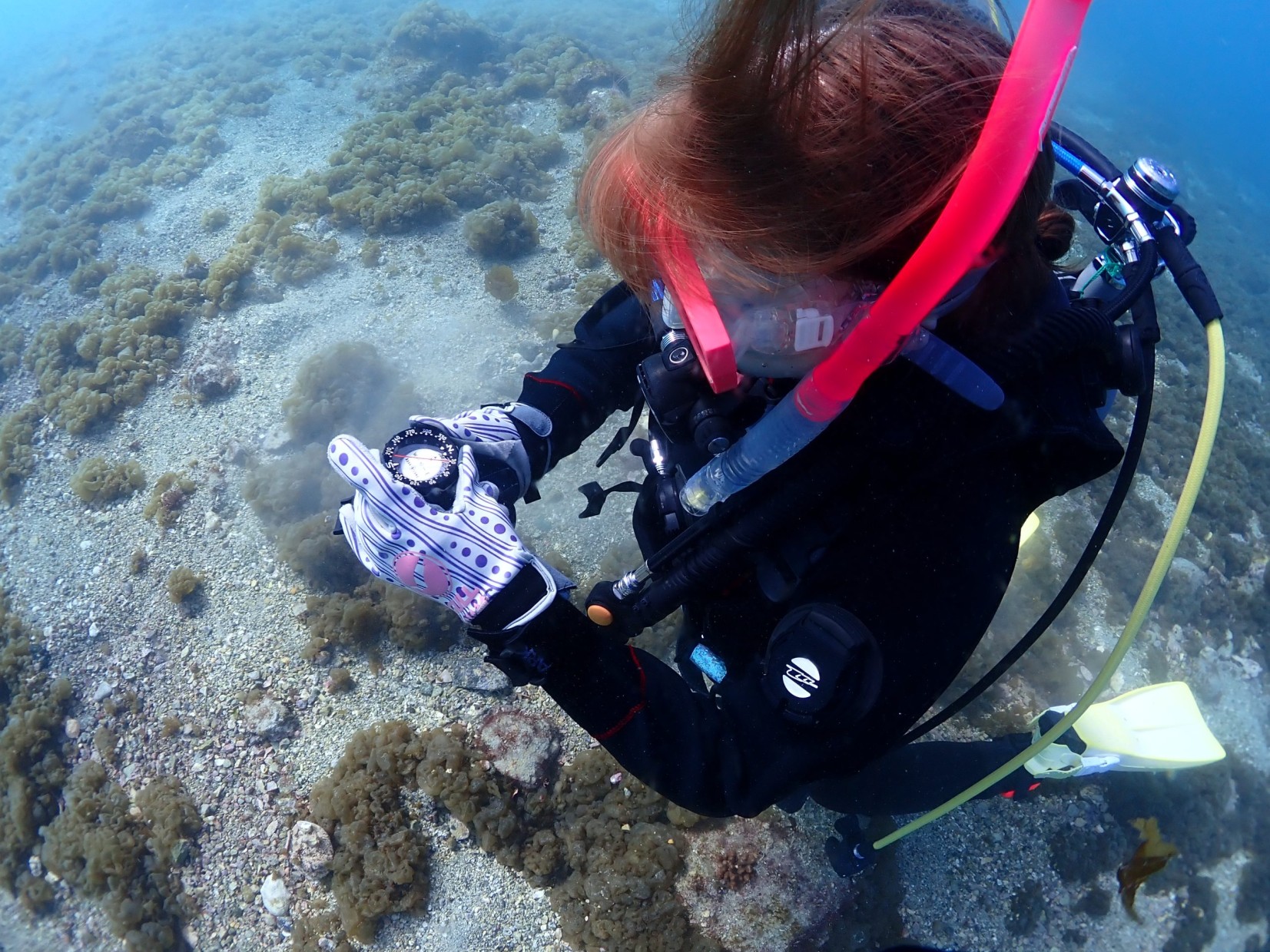 天候がコロコロ変わるのは春が近い証拠 | ARK Diving Shop 串本店
