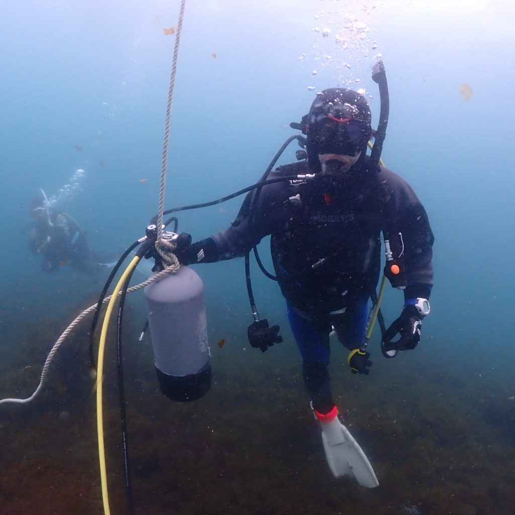 Deepな海への第一歩 | ARK Diving Shop 串本店