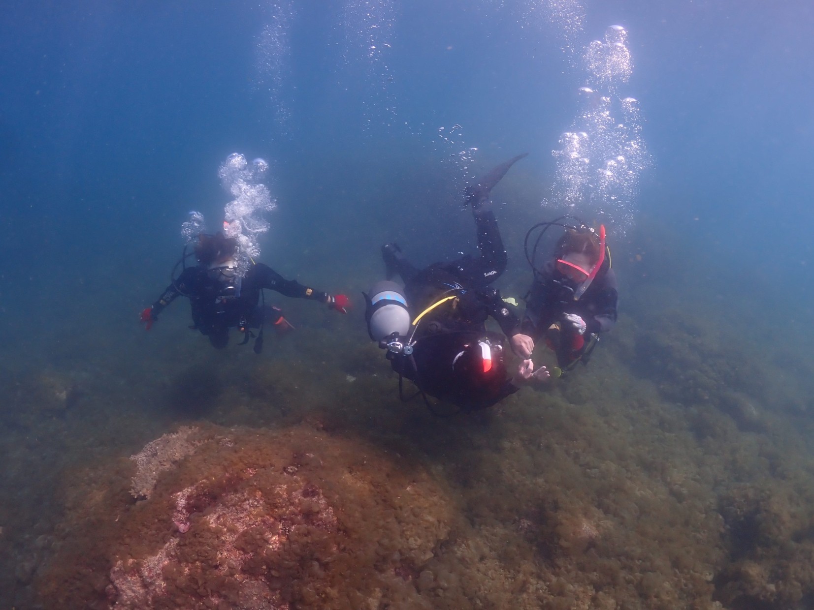 体験ダイビングに挑戦！！ | ARK Diving Shop 串本店