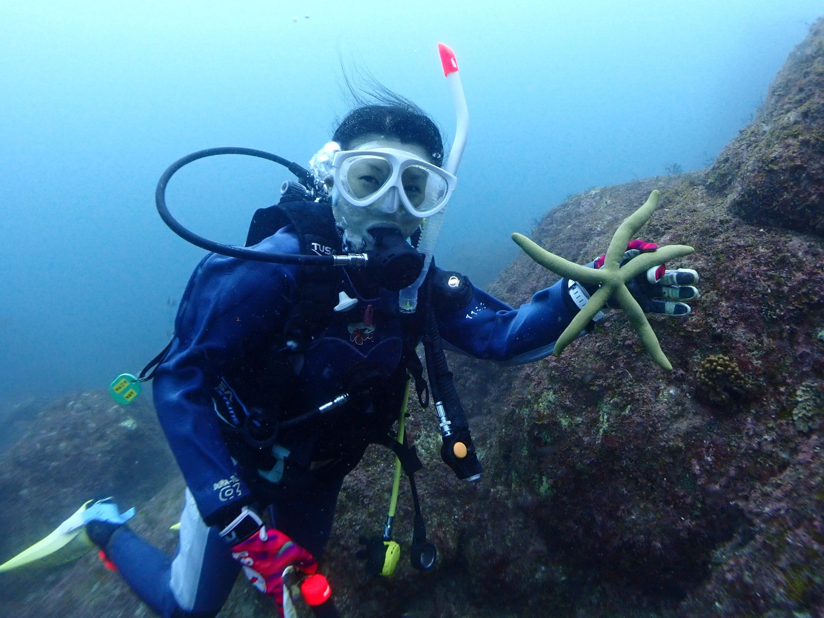 少し回復してきた！？ | ARK Diving Shop 串本店