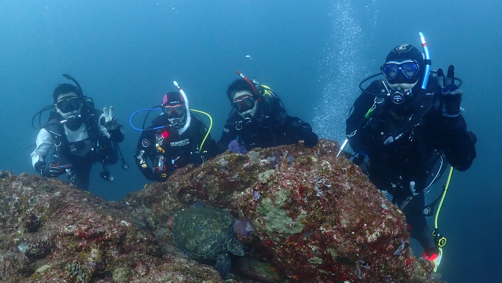 ダイビング仲間！！ | ARK Diving Shop 串本店