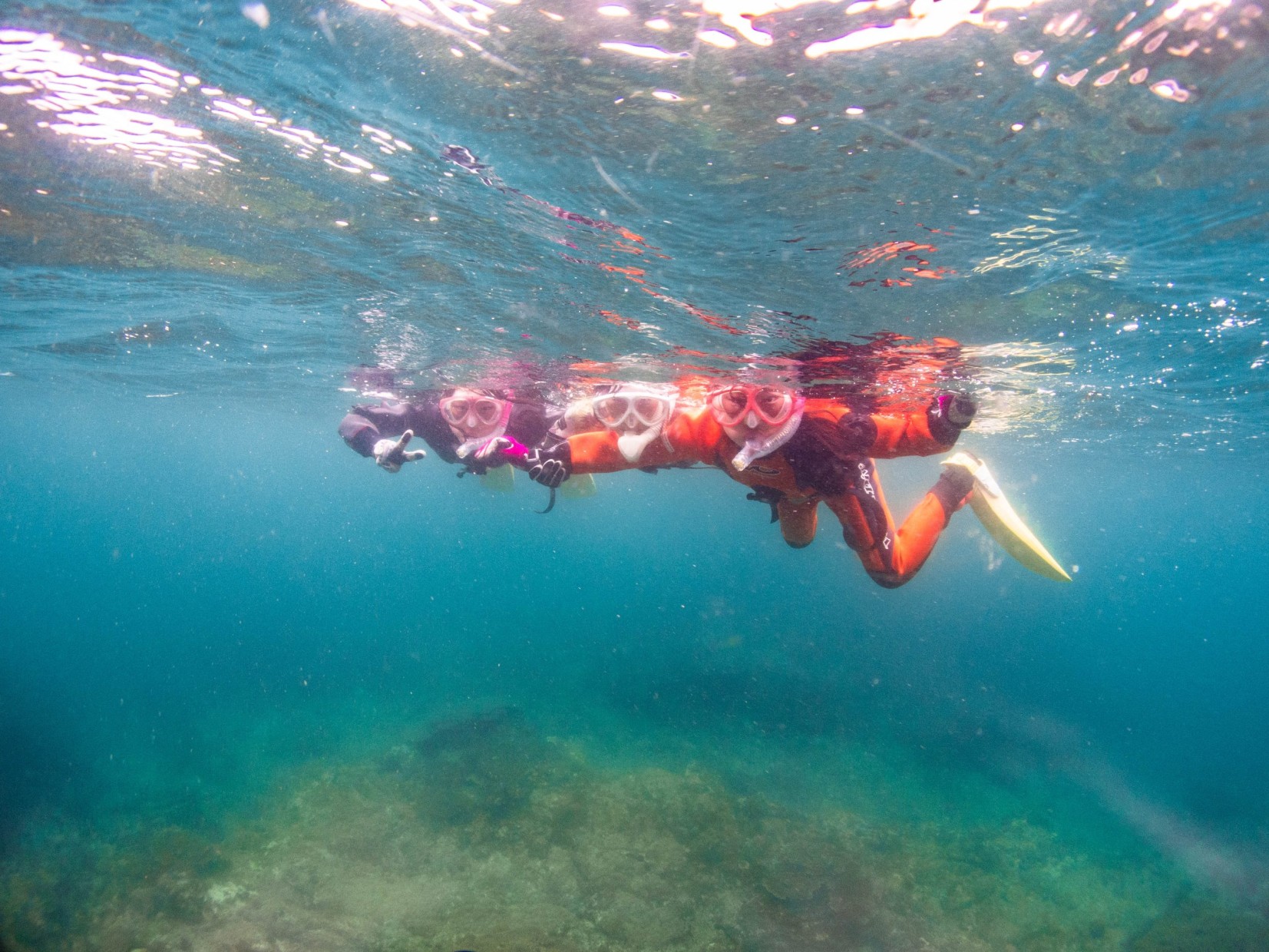 家族旅行でスノーケリング体験 | ARK Diving Shop 串本店