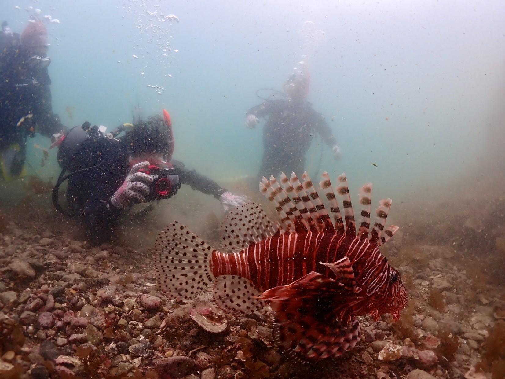 体験ダイビングに行ってきたよ | ARK Diving Shop 串本店
