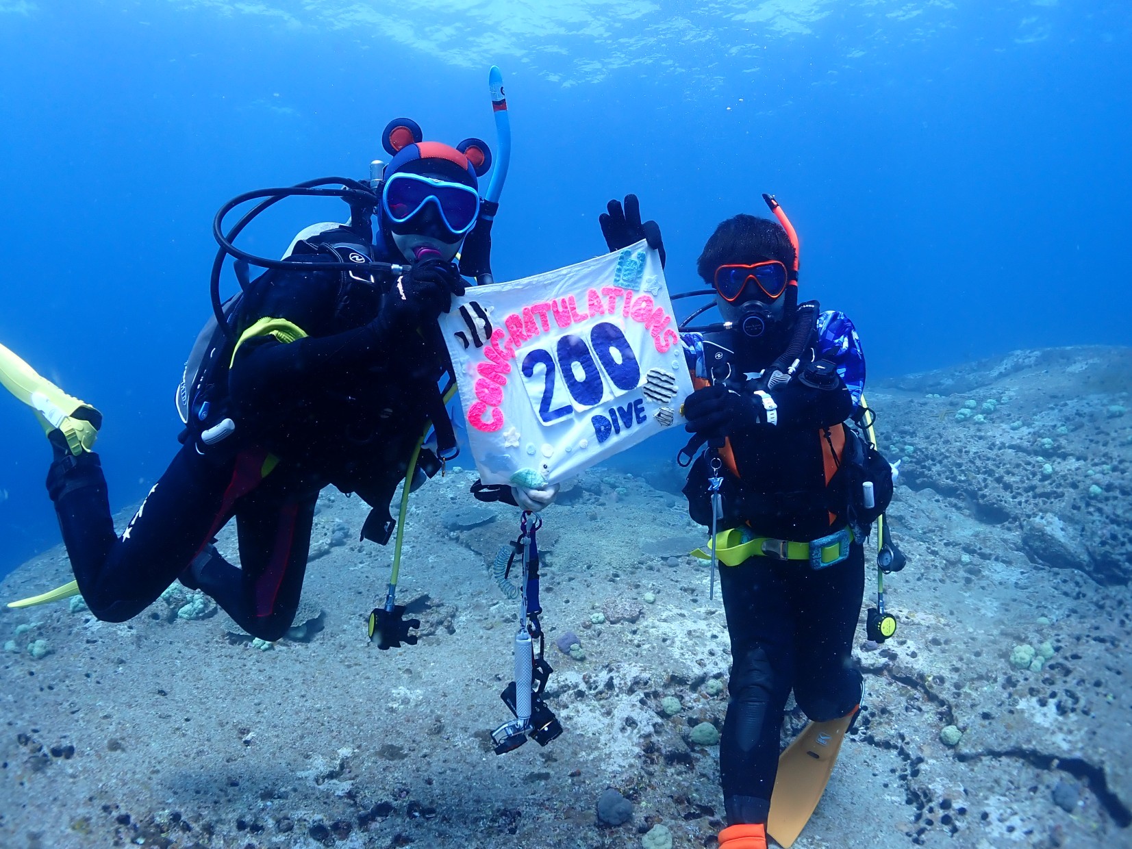 200DIVEに相応しい最高の海 | ARK Diving Shop 串本店