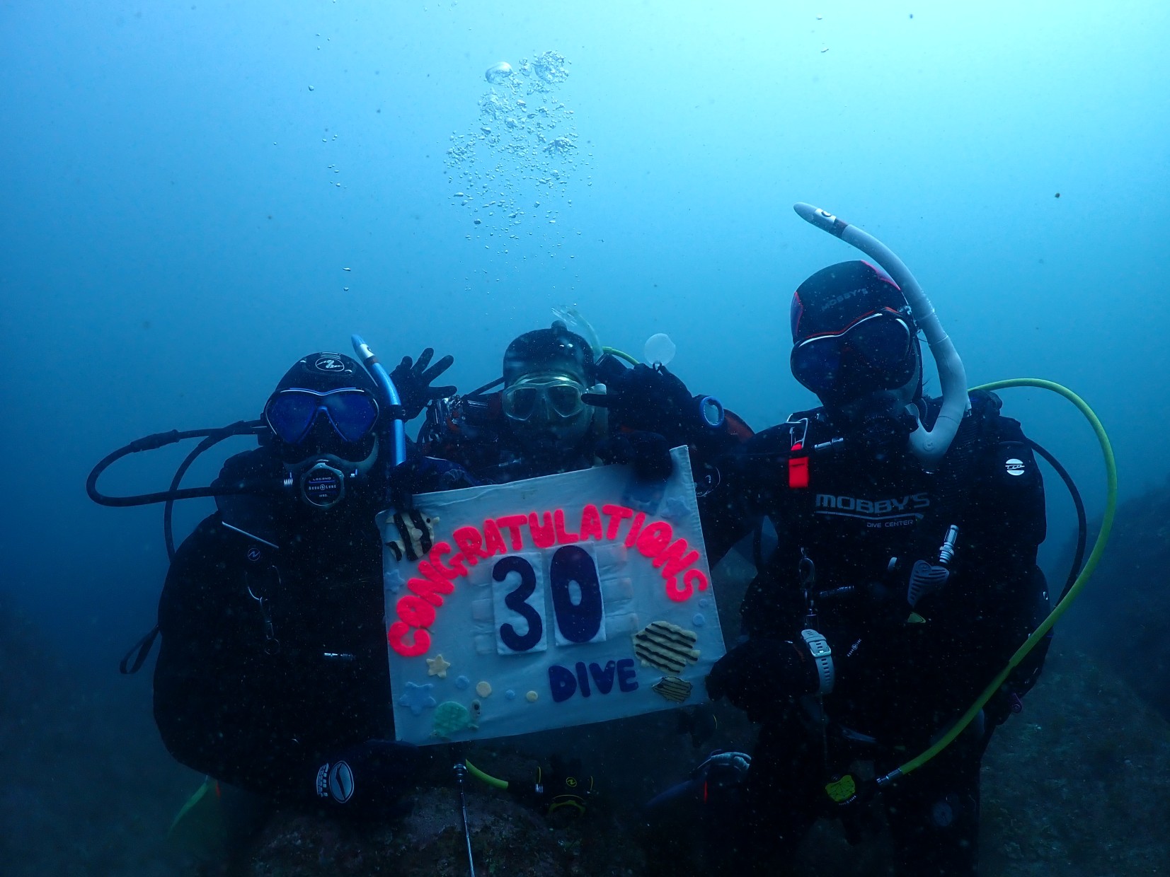 GWスタート！！ | ARK Diving Shop 串本店