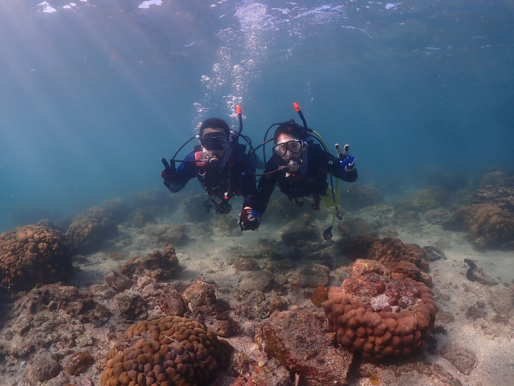 日帰り旅行でも楽しめる♪ | ARK Diving Shop 串本店