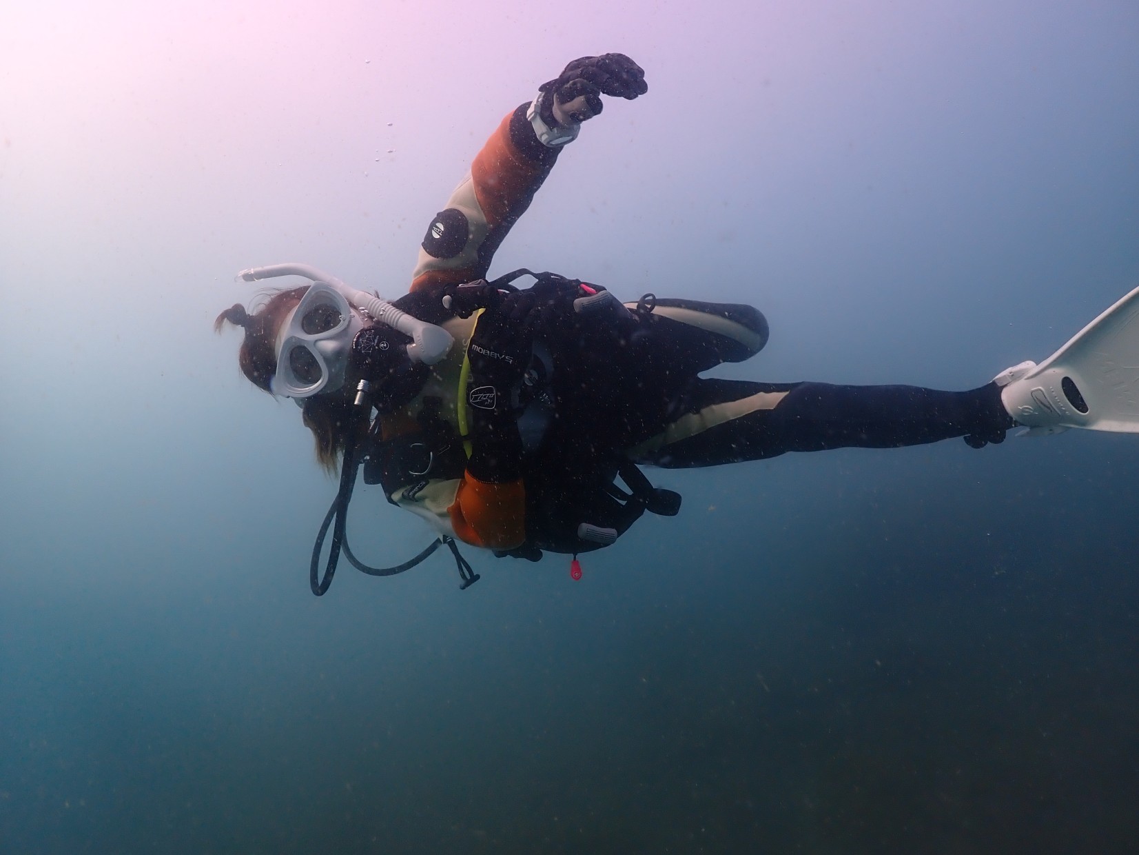 水中の楽しみ方！！ | ARK Diving Shop 串本店