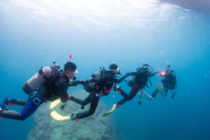 Blog | ARK Diving Shop 串本店