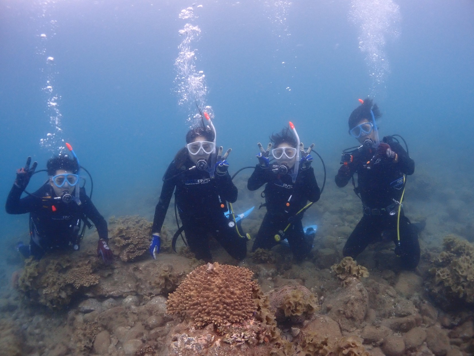 今年はもっと海を楽しむゾ〜！！ | ARK Diving Shop 串本店