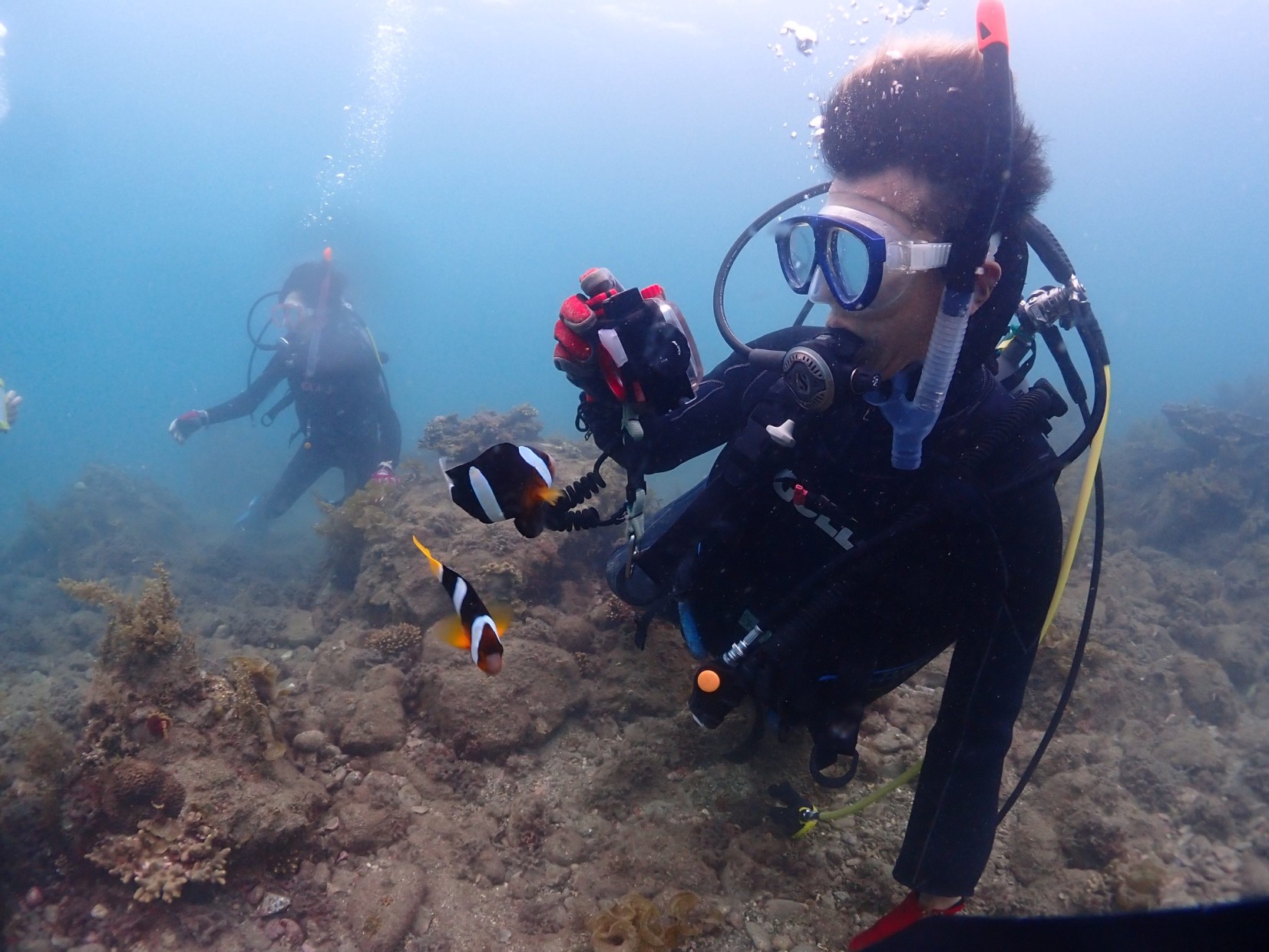 挑戦する勇気 | ARK Diving Shop 串本店