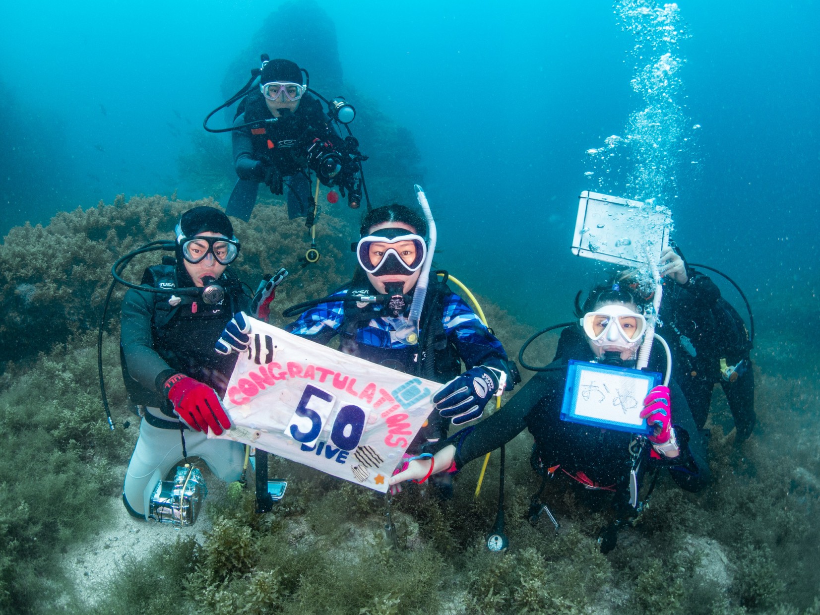 記念DIVEだ！わーい！🥰 | ARK Diving Shop 串本店