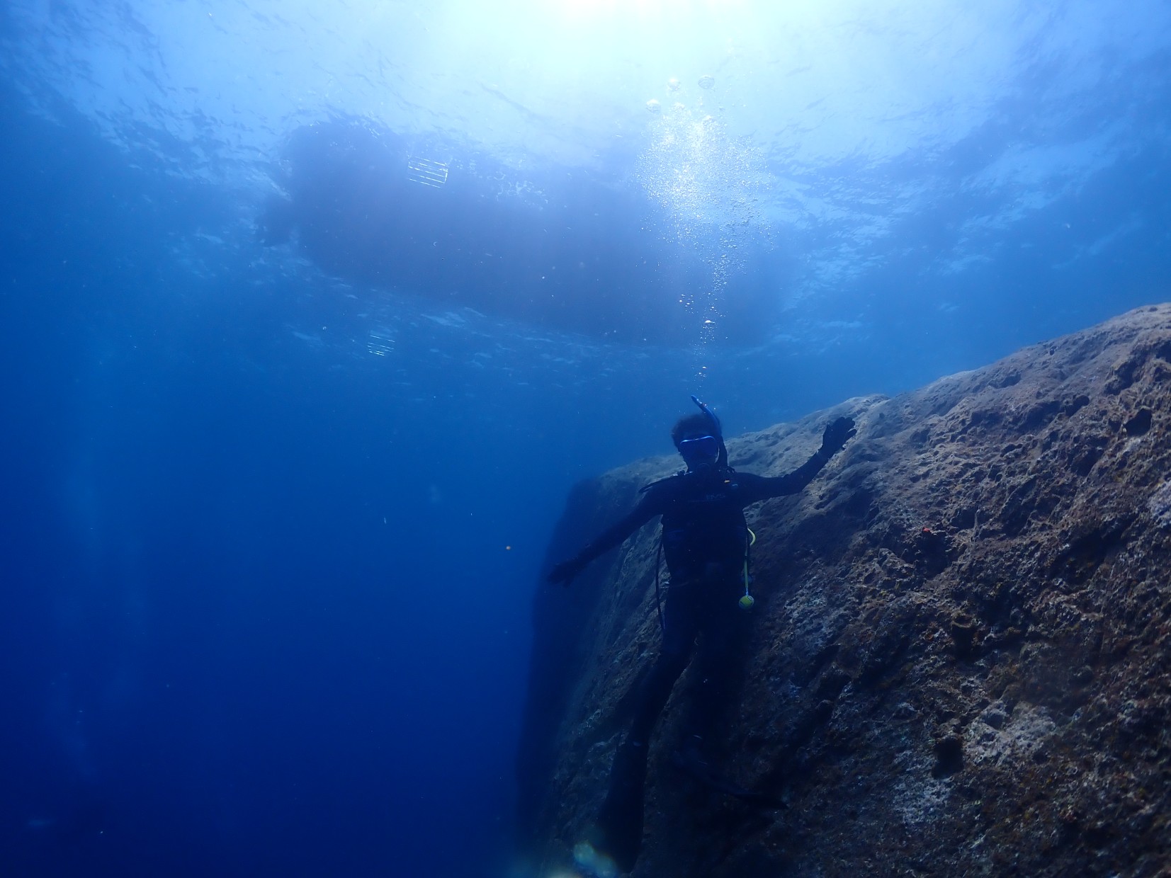 快晴続きっ！😎 | ARK Diving Shop 串本店