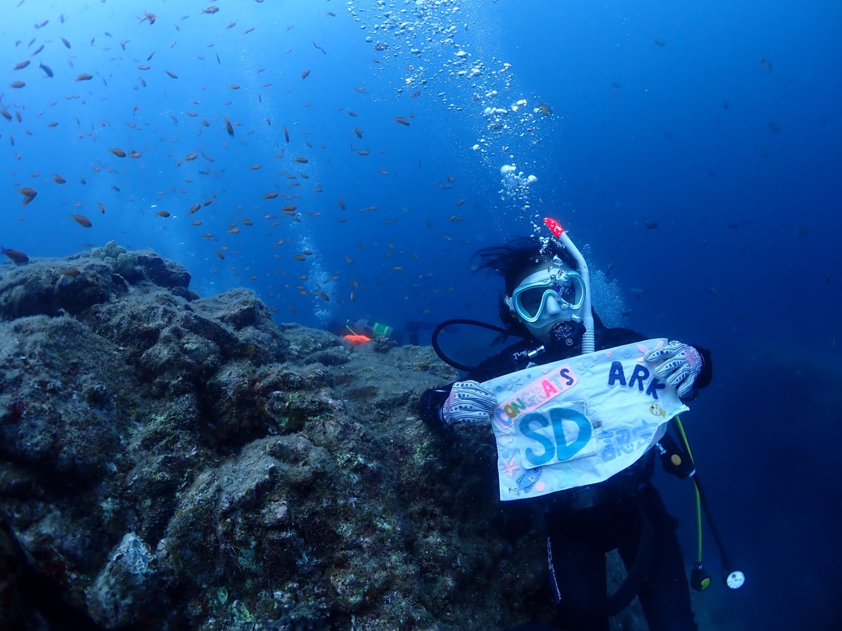 夏に向けてのトレーニング！ | ARK Diving Shop 串本店