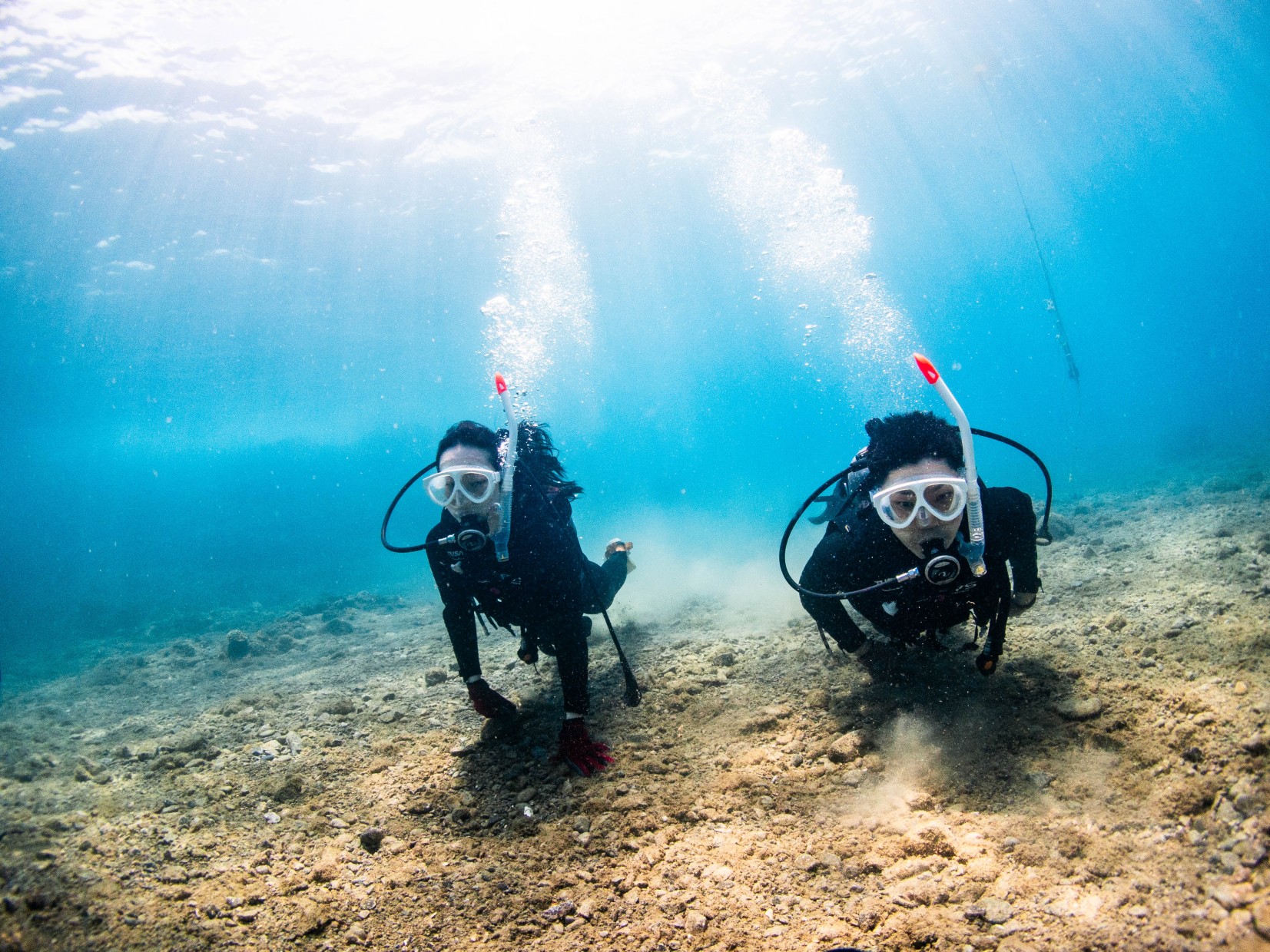 あれ？いい潮入ったかも！ | ARK Diving Shop 串本店