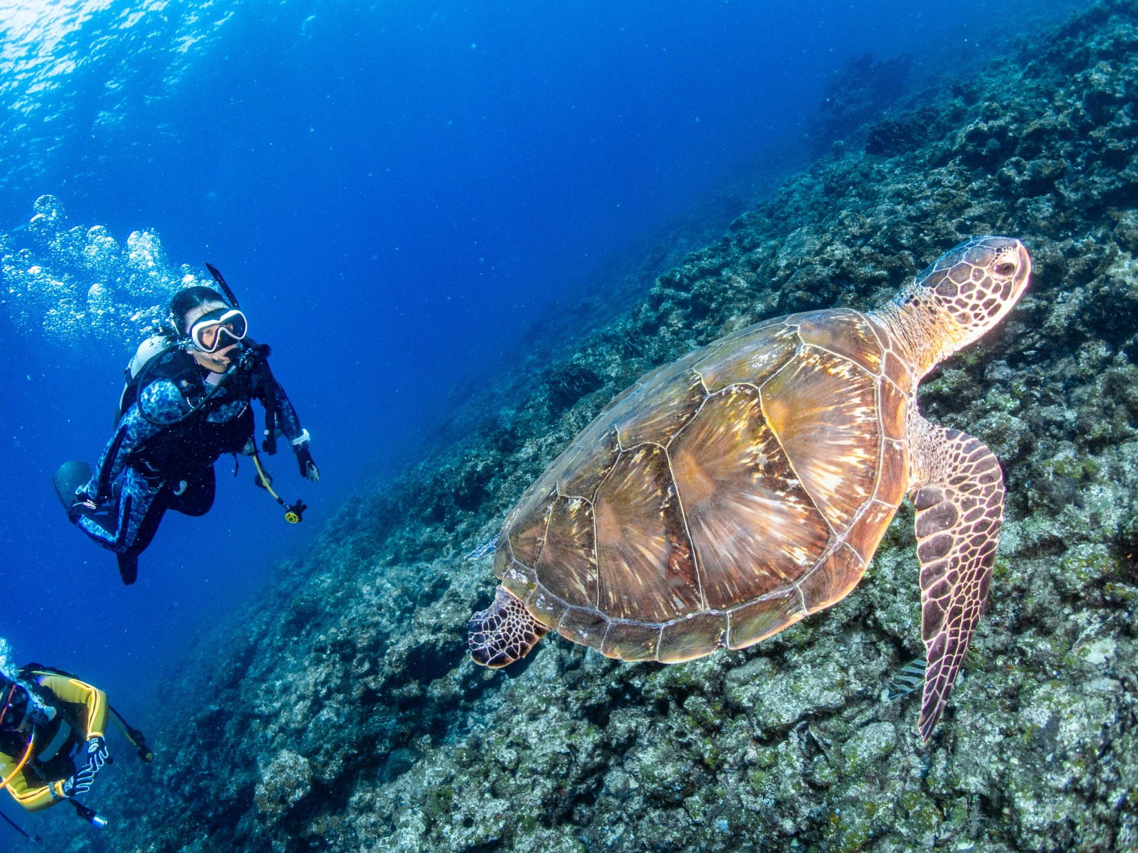 穏やかな1日でした。 | ARK Diving Shop 串本店
