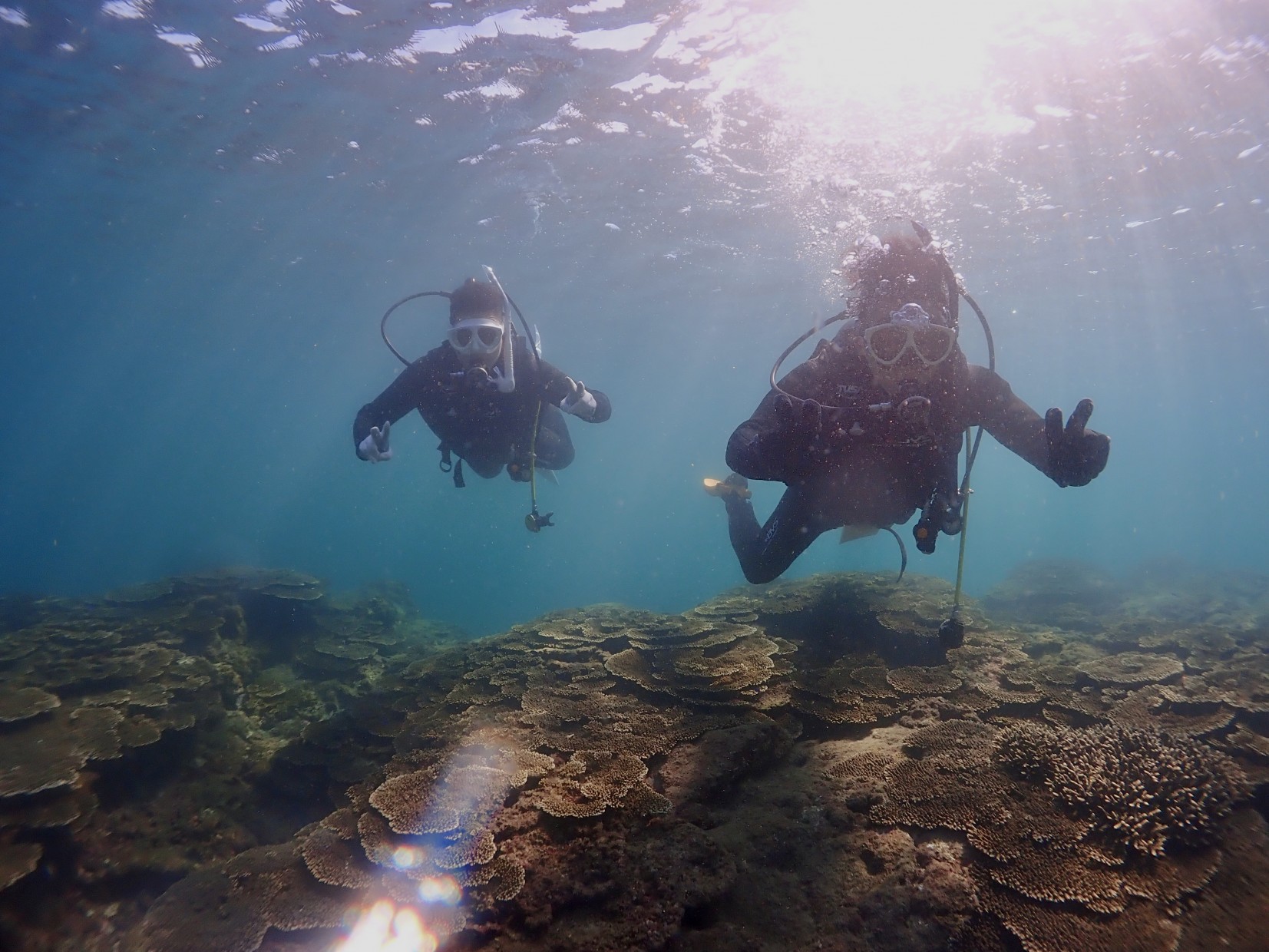 ナイスバディー♡ | ARK Diving Shop 串本店