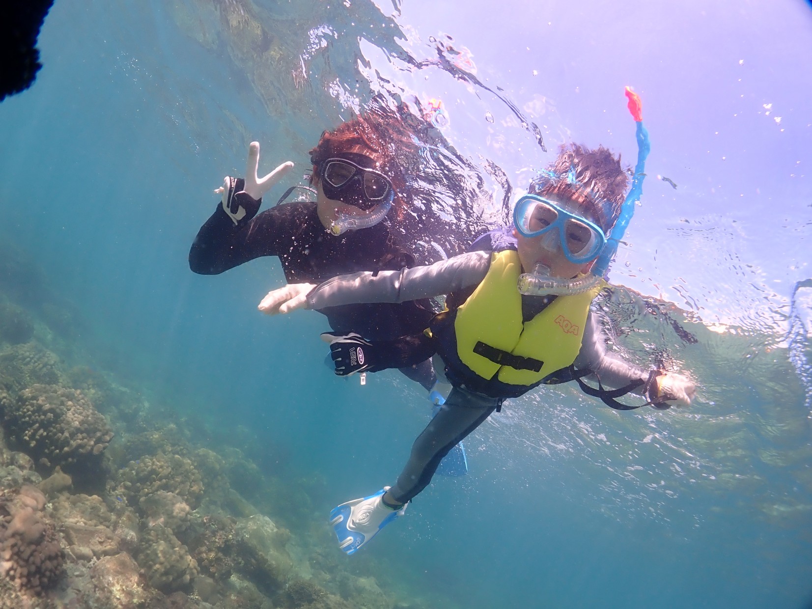 久しぶりの再会♡ | ARK Diving Shop 串本店