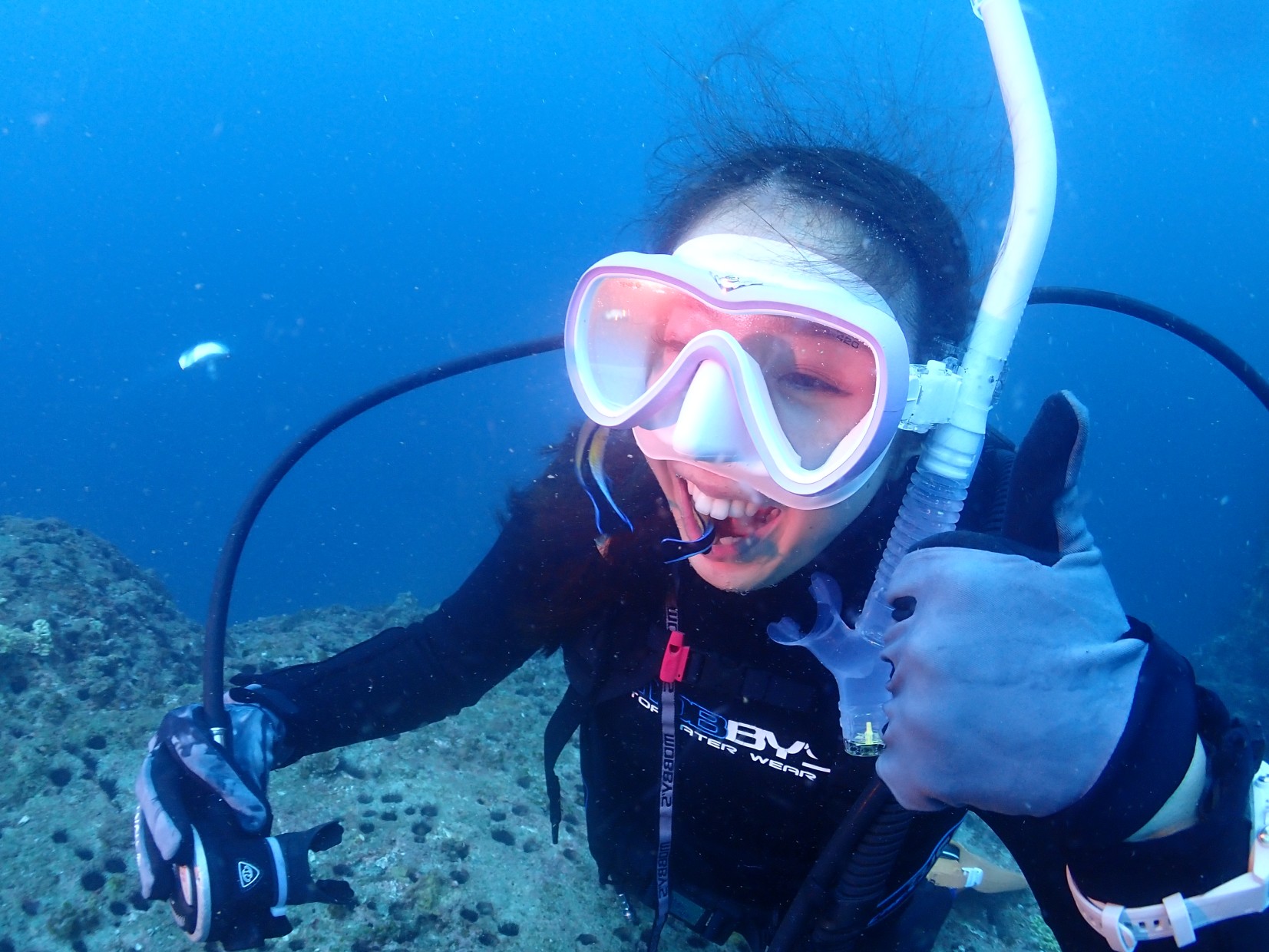 今日も透明度は絶好調！ | ARK Diving Shop 串本店