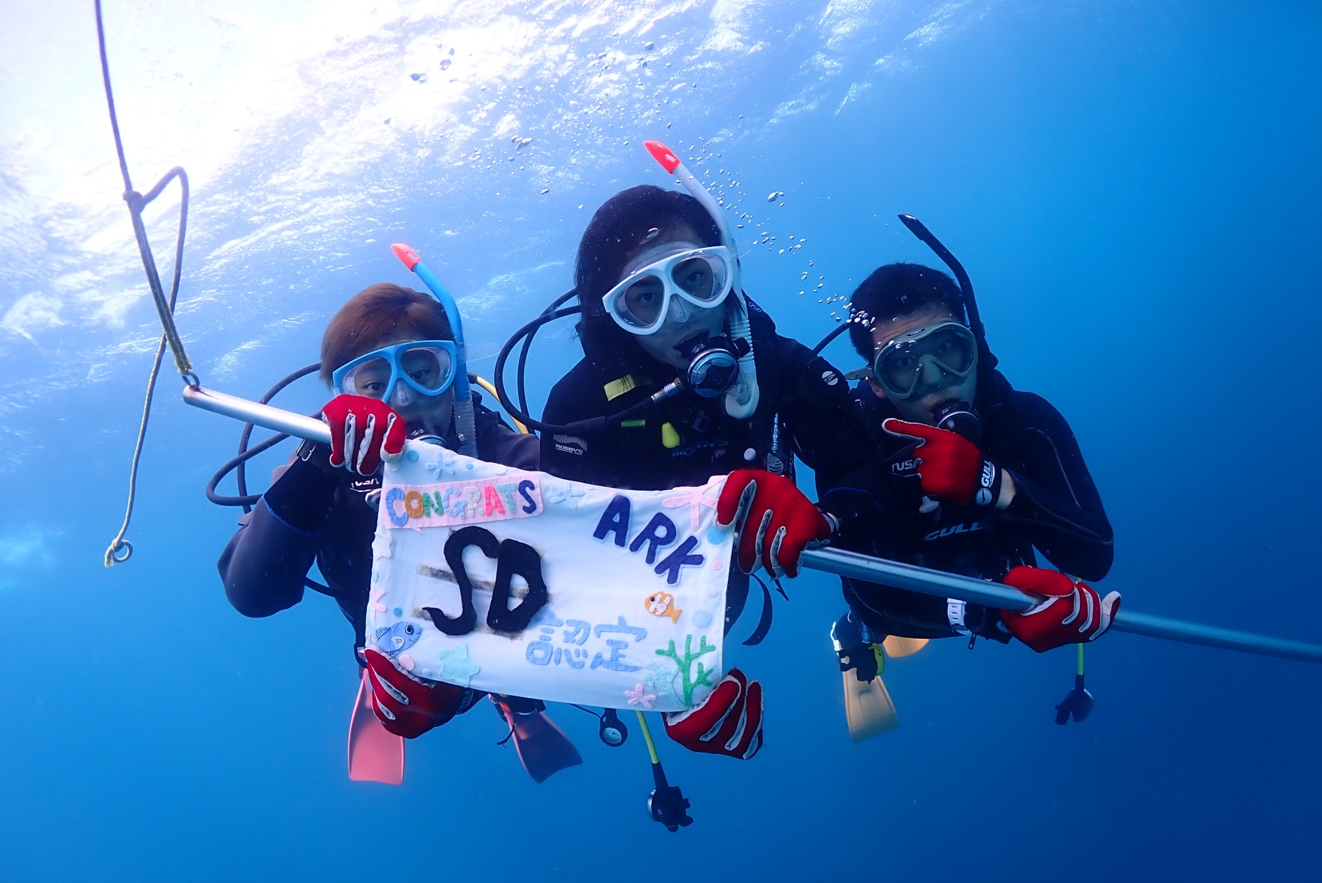 スポーツダイバーを取ると世界が広がる！ | ARK Diving Shop 串本店