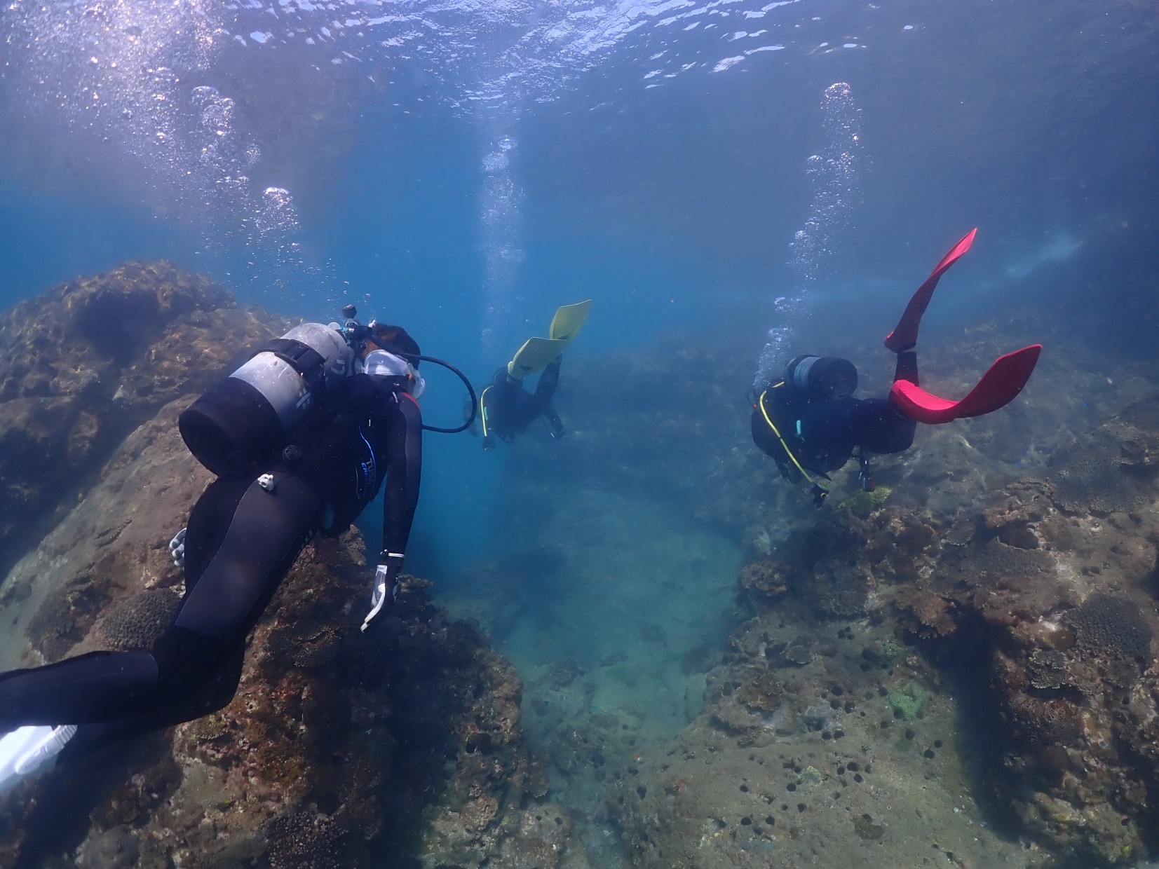 大勢の講習も面白いな！！ | ARK Diving Shop 串本店