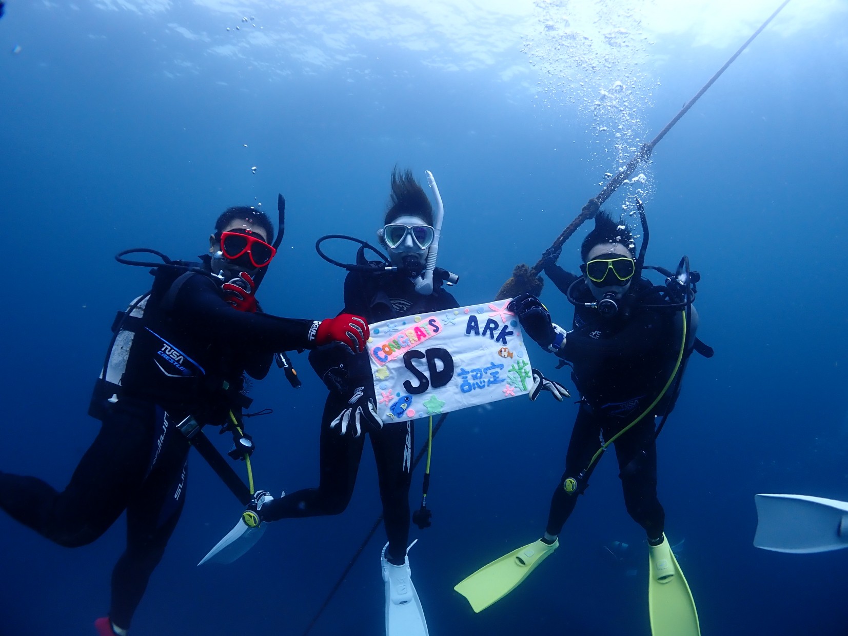 20M以上の世界へ！！ | ARK Diving Shop 串本店