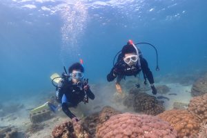 体験ダイビングからのステップアップ | ARK Diving Shop 串本店