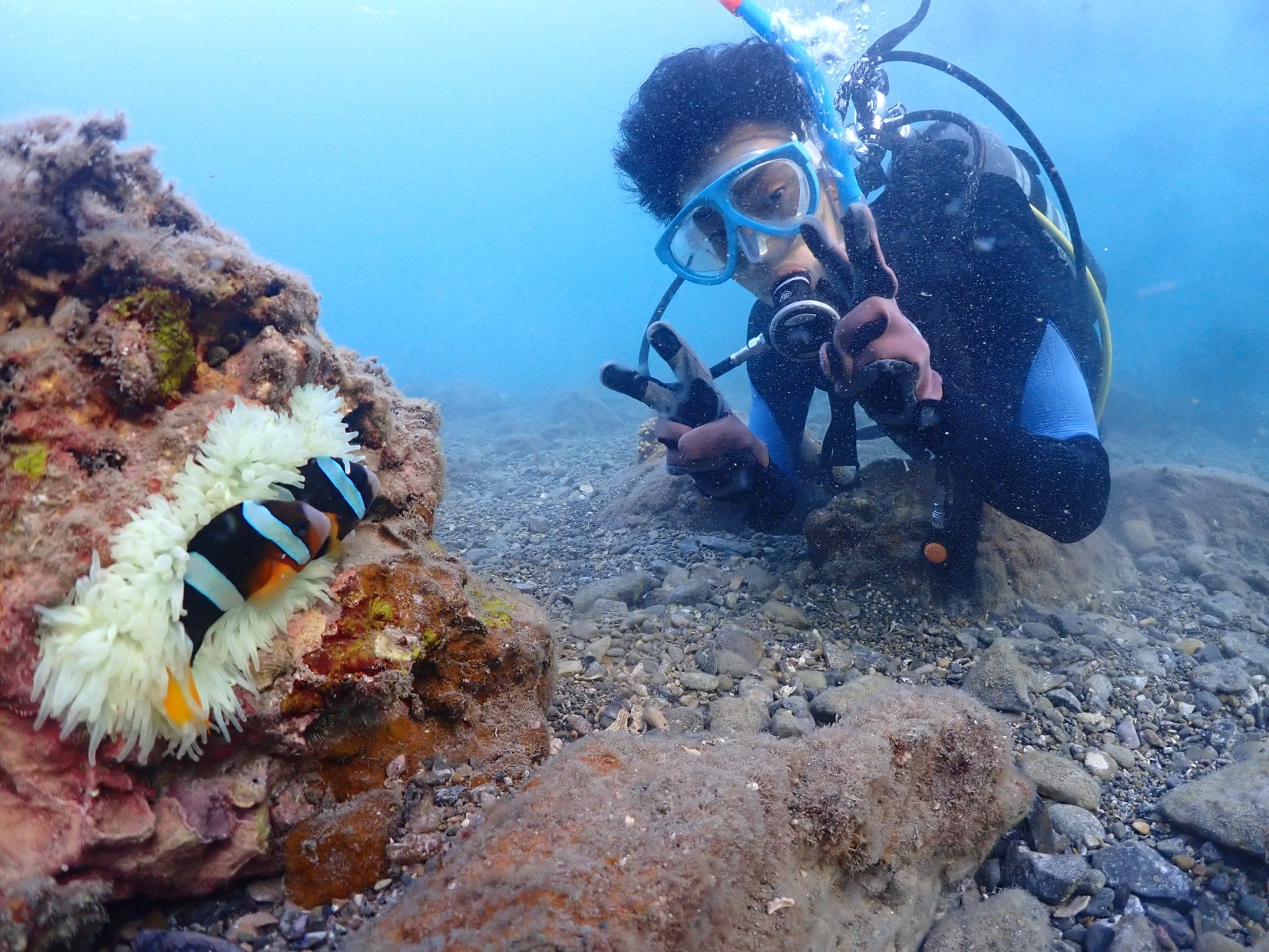 体験ダイビングからのステップアップ | ARK Diving Shop 串本店