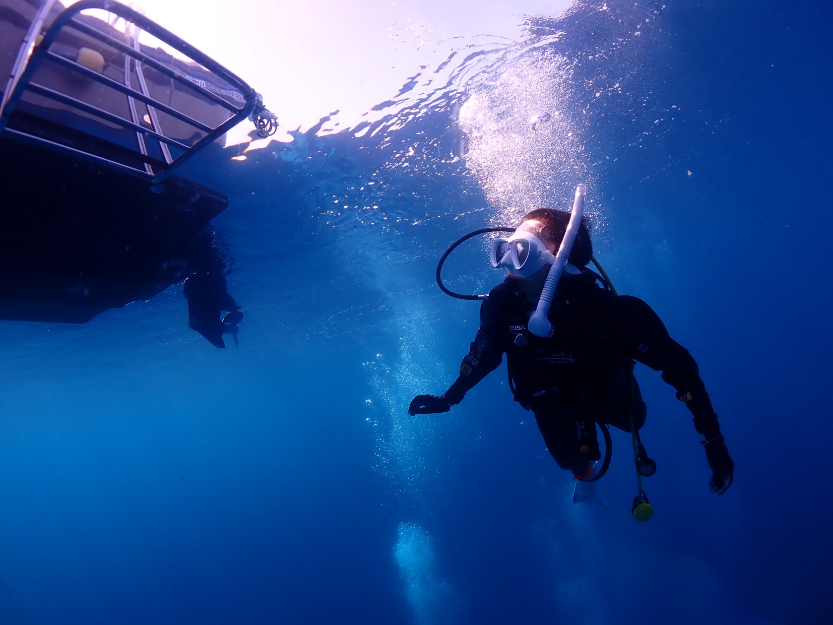 ドライスーツ解禁シーズン | ARK Diving Shop 串本店