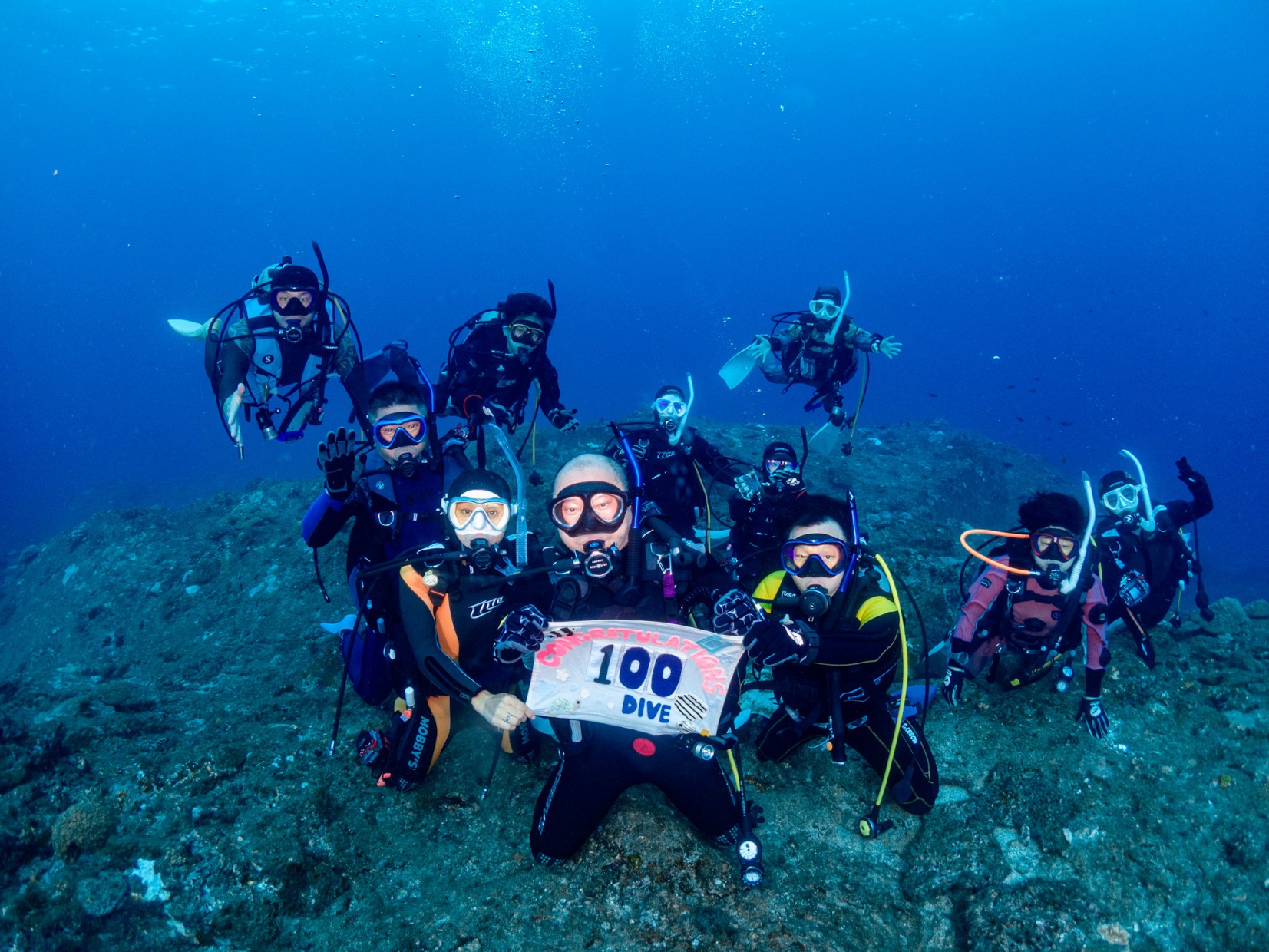 屋久島の海もすごいぞ！② | ARK Diving Shop 串本店