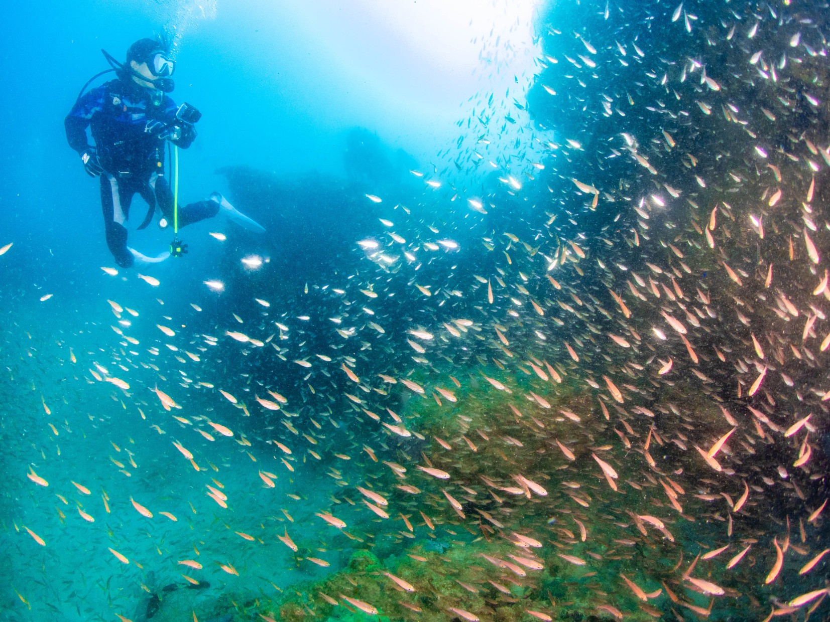 空は澄んでるのに水中が、、 | ARK Diving Shop 串本店