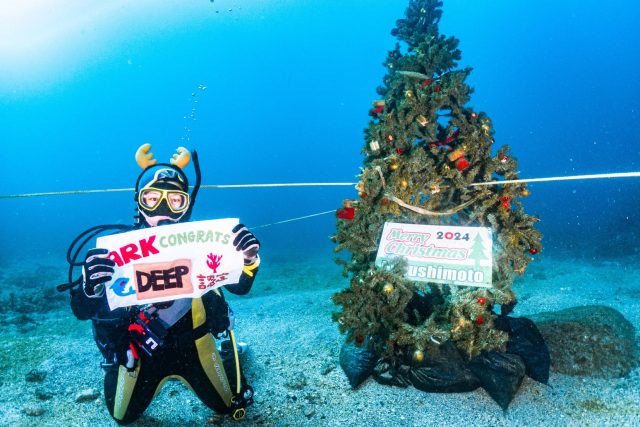 怒涛の講習WEEK | ARK Diving Shop 串本店