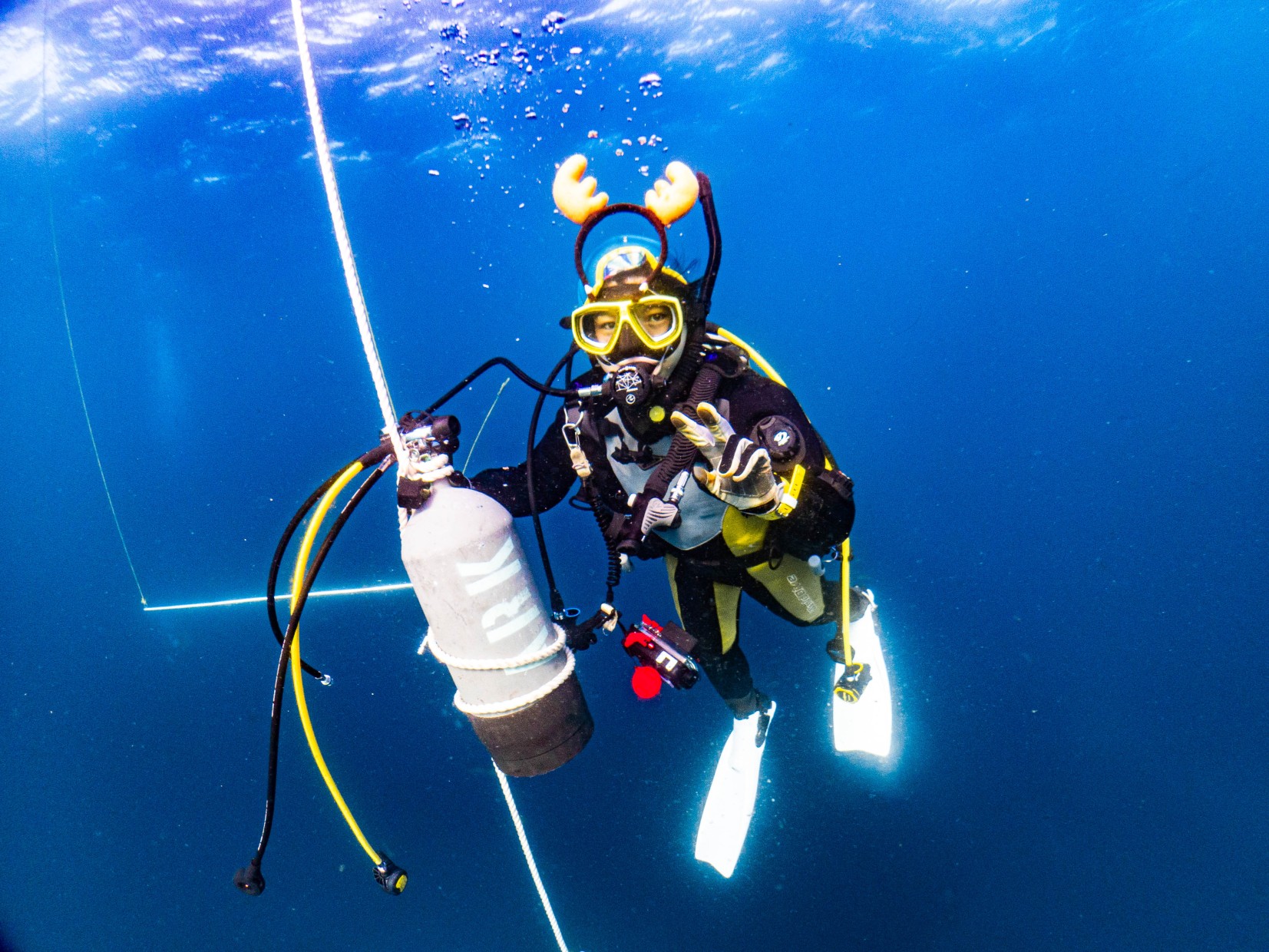 怒涛の講習WEEK | ARK Diving Shop 串本店