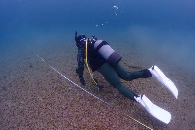 年の瀬の講習weekly📚 | ARK Diving Shop 串本店