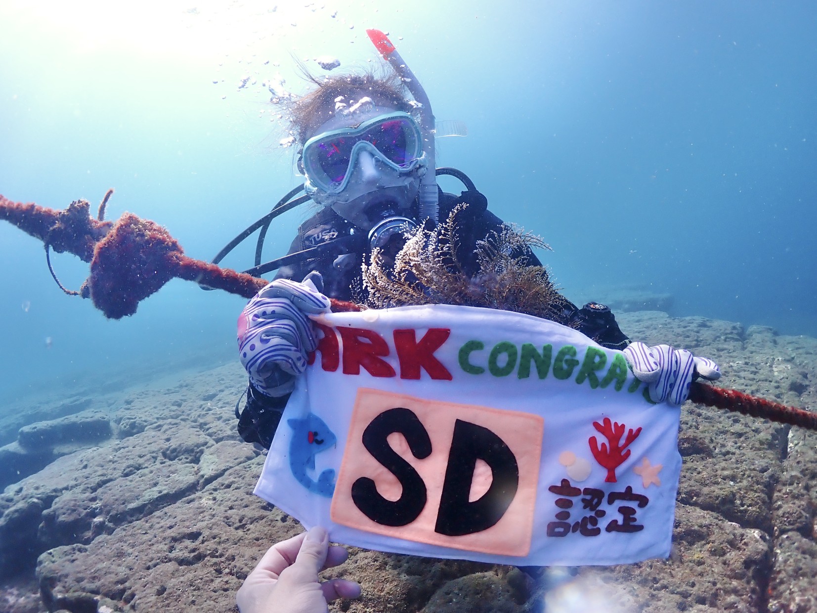 年の瀬の講習weekly📚 | ARK Diving Shop 串本店