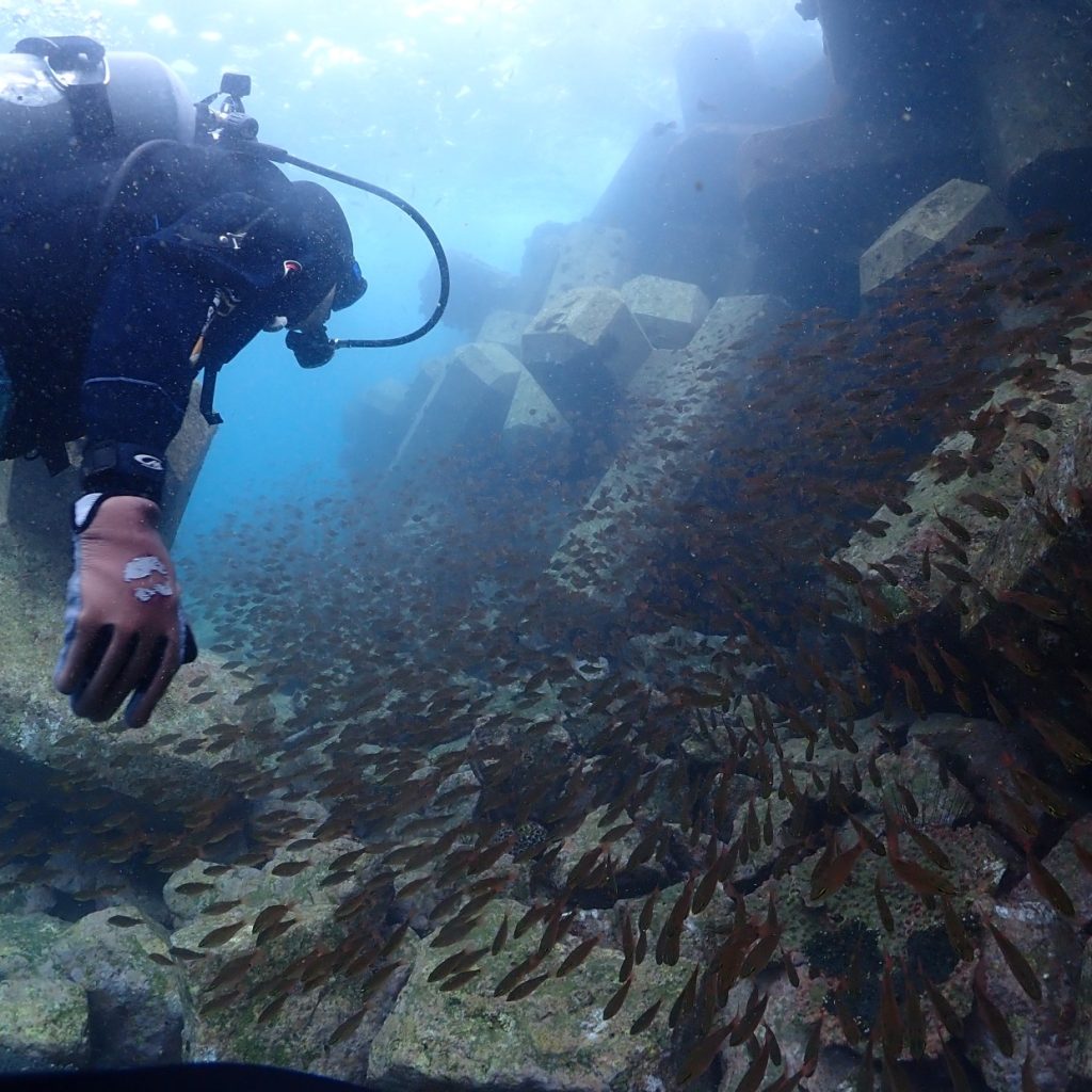 今年初雪 in須江☃️ | ARK Diving Shop 串本店