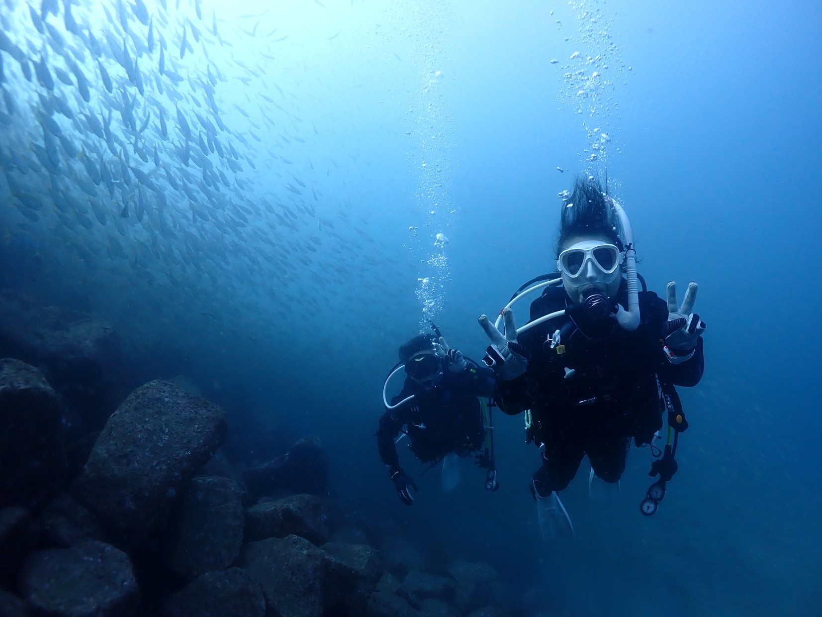 群れ群れ！！ | ARK Diving Shop 串本店